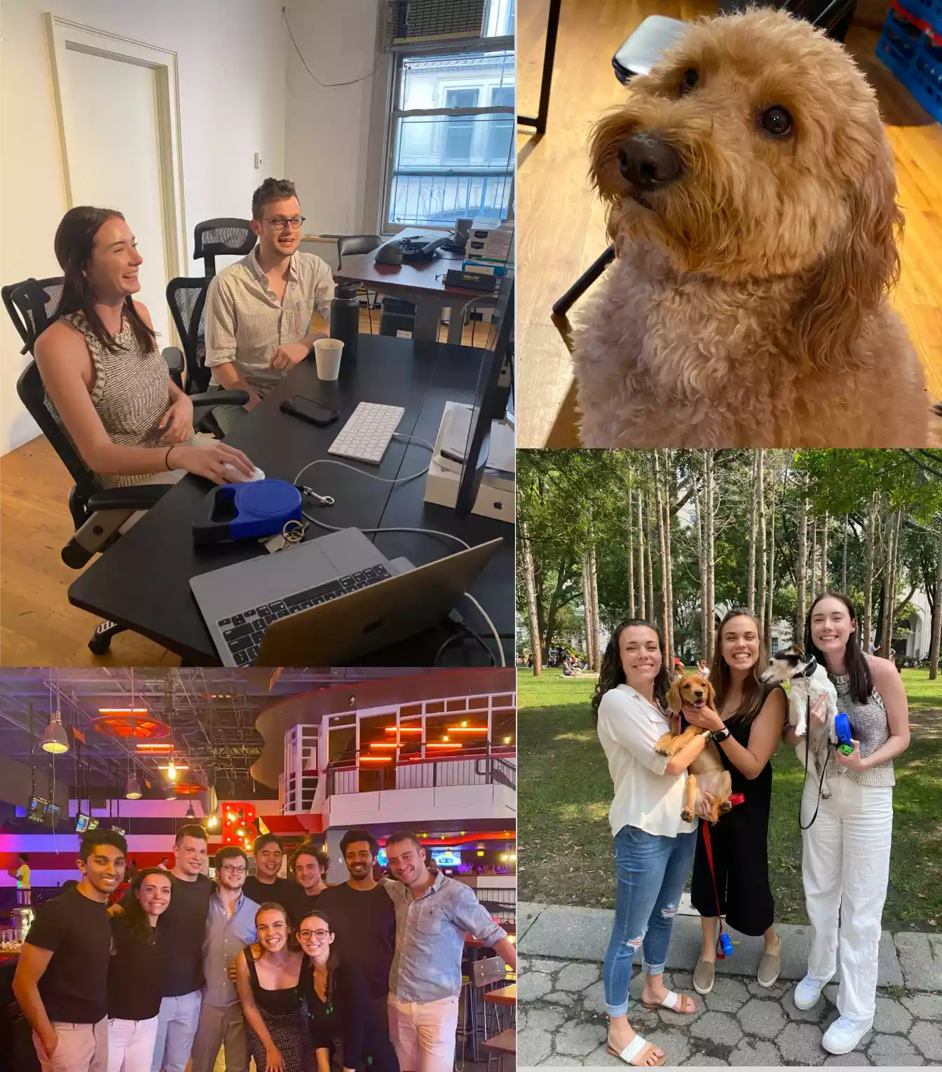 Grow Therapy Careers - Make Mental Health More Accessible